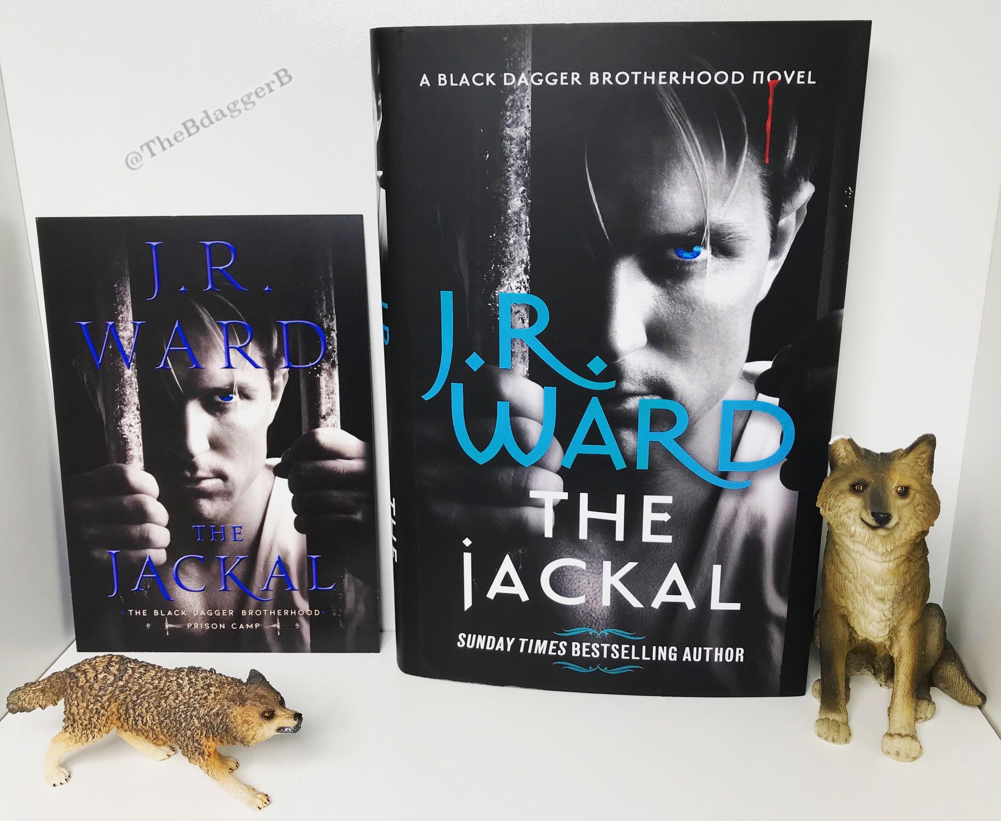 “The Jackal” UK Hardcover! – The BdaggerB